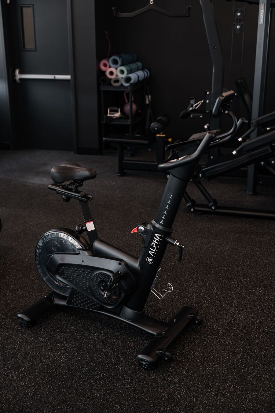 Build Your Custom Dream Gym and Equipment with Alpha Fitness